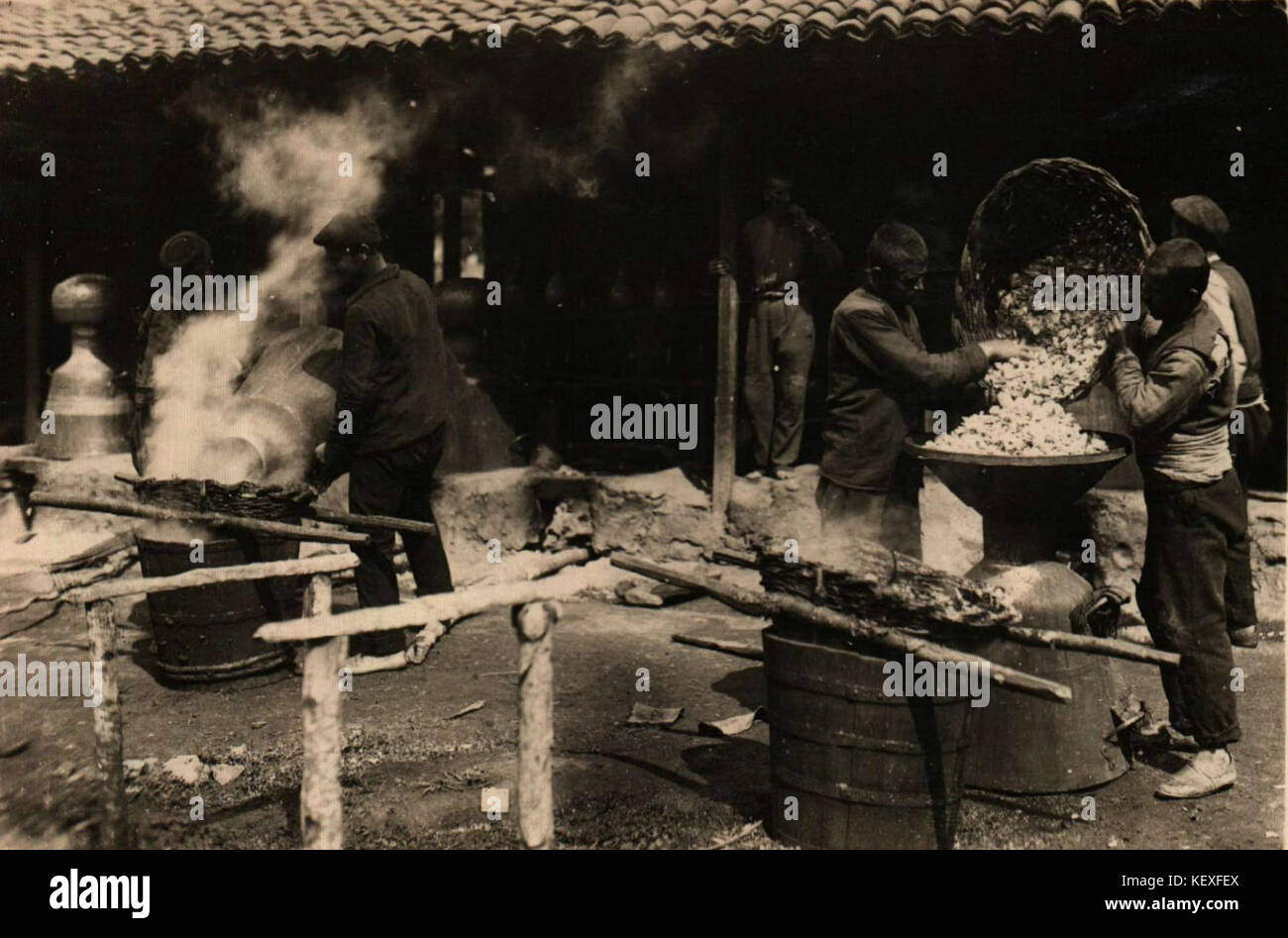 Roses oil production hi-res stock photography and images - Alamy