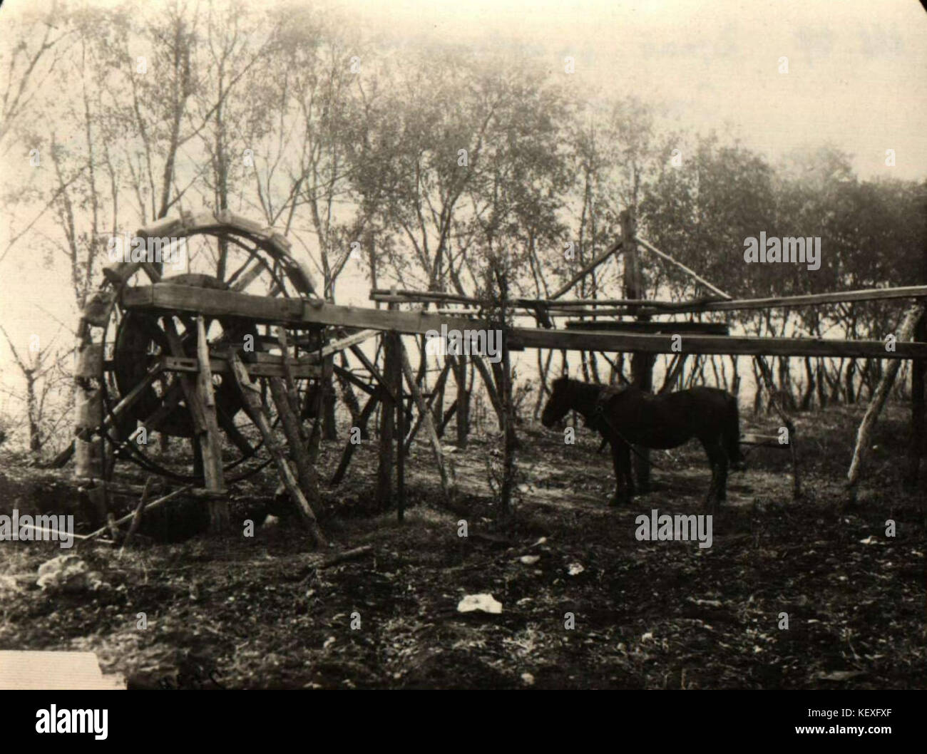 A reference to a historical or archival number, possibly related to an inventory, artifact, or ...