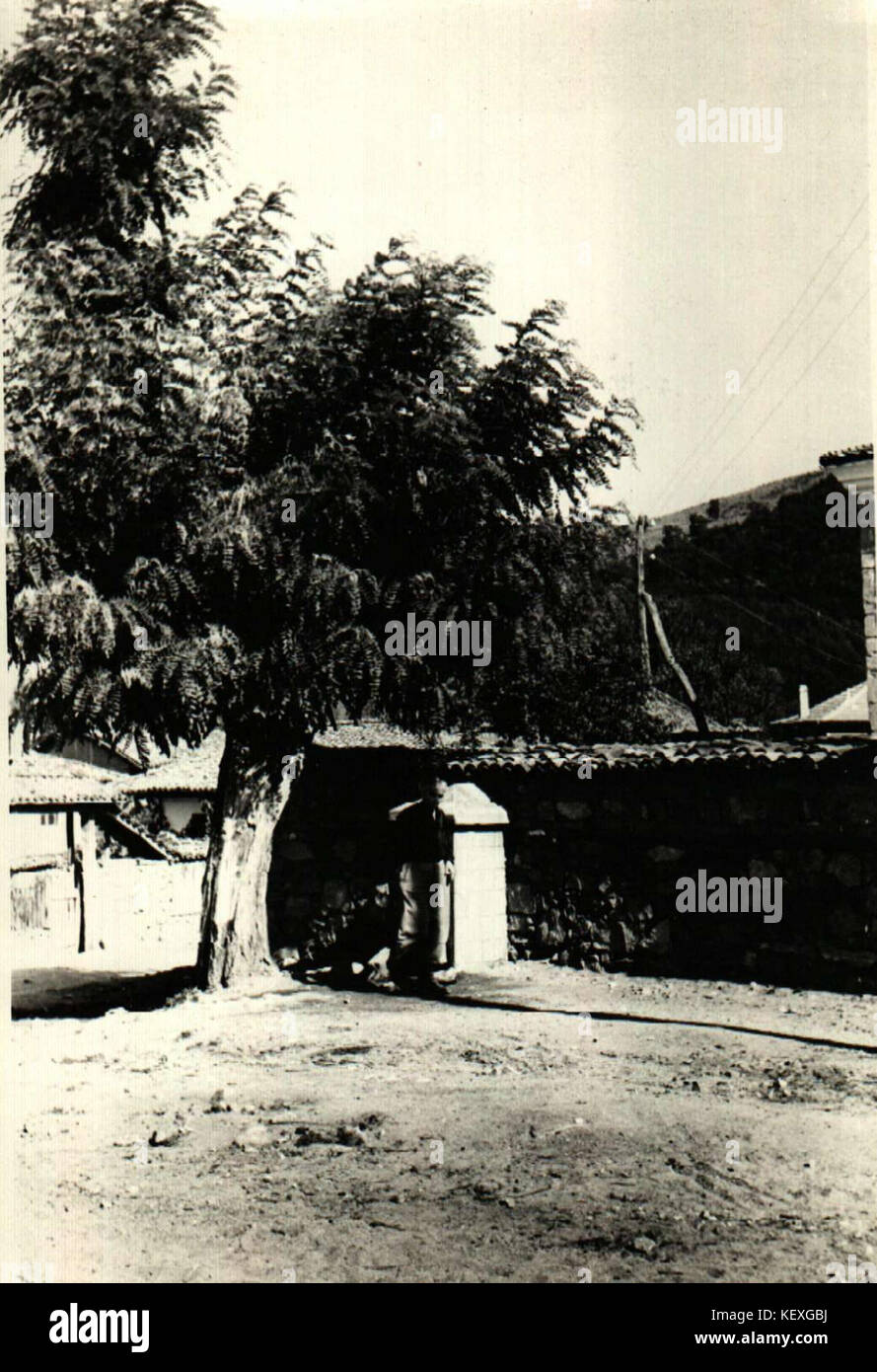 An archival reference number for a specific photograph or document, possibly related to ...