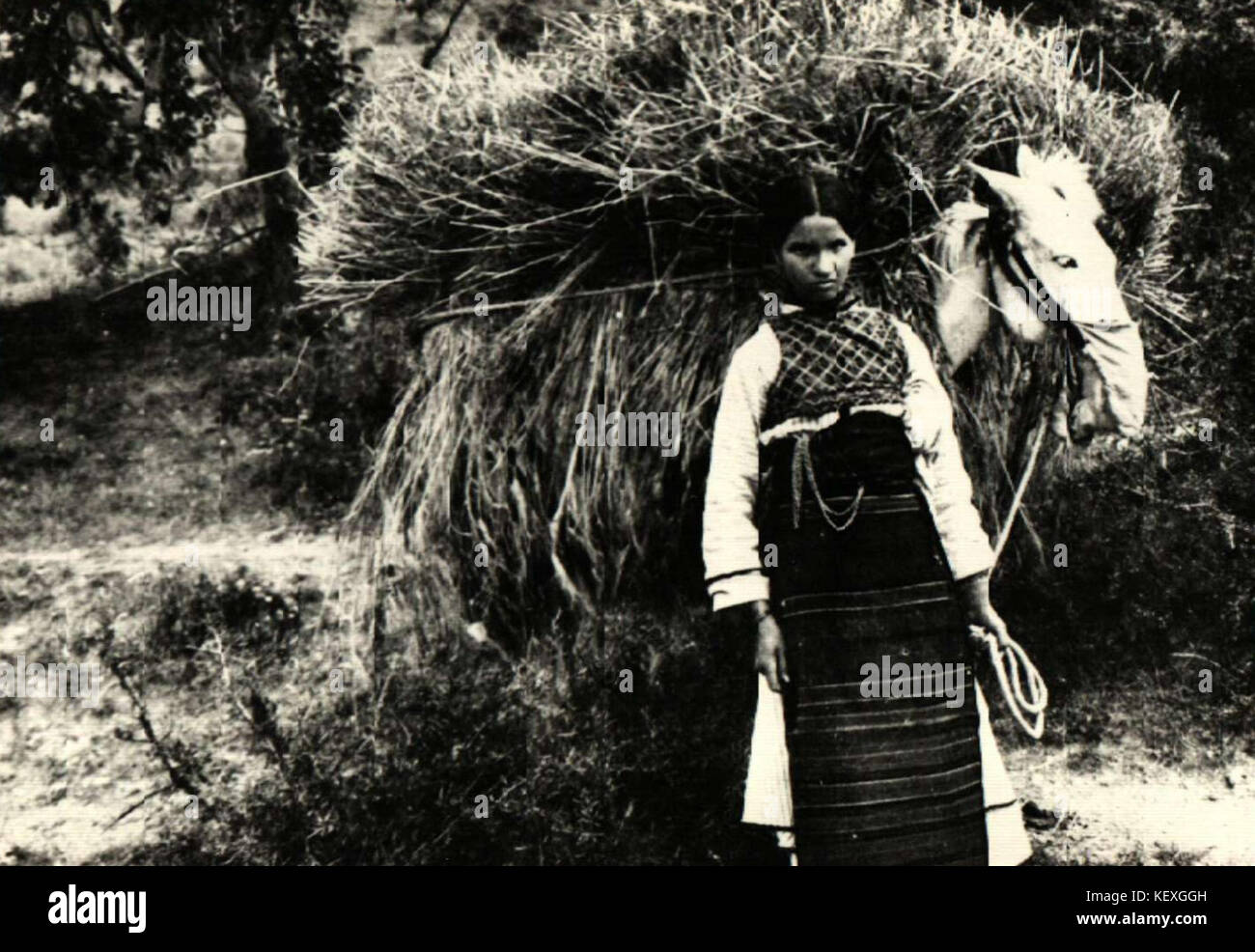 Macedonian folklore costume hi-res stock photography and images - Alamy