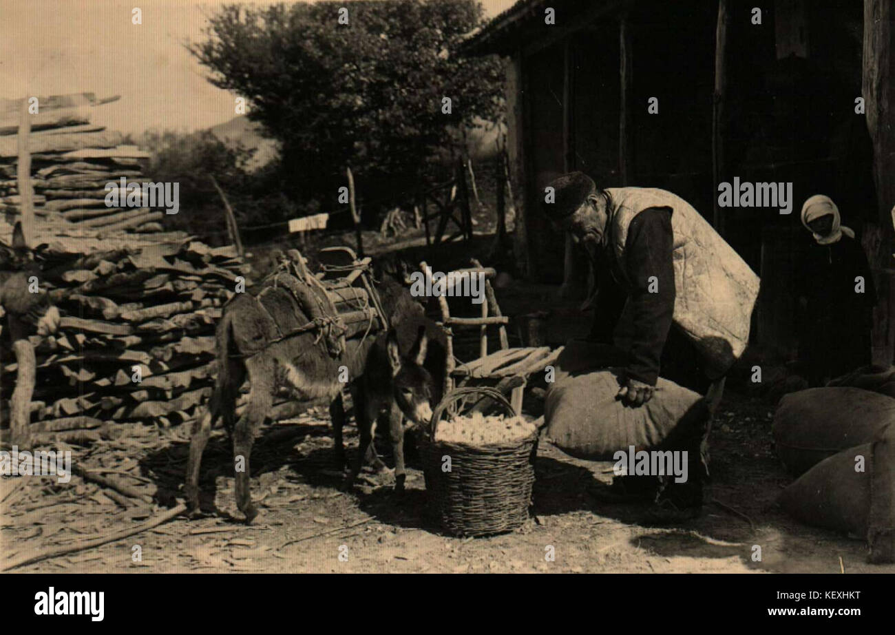 Rose factory hi-res stock photography and images - Alamy