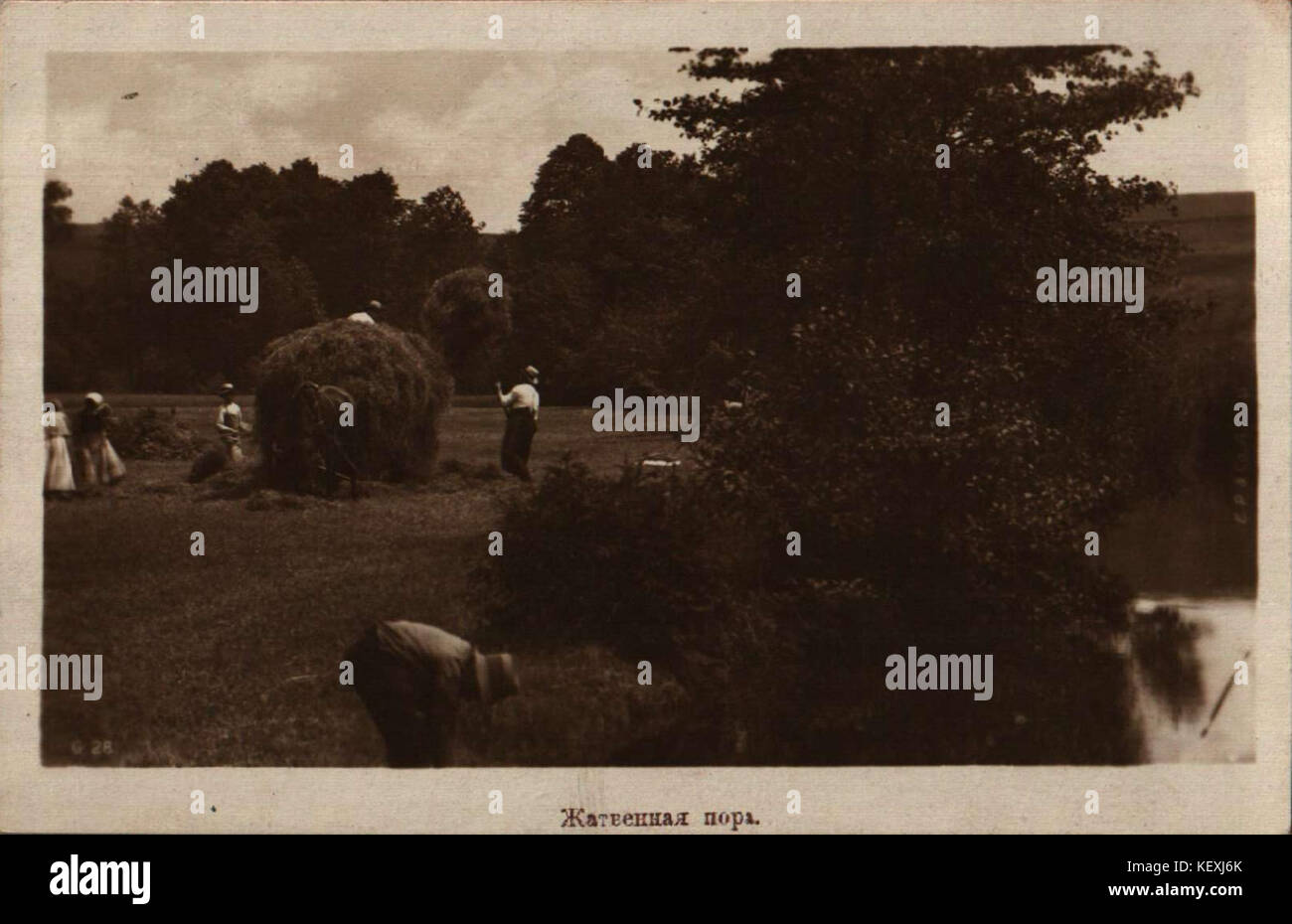 129K 1 2213 23 Postcard Stock Photo - Alamy