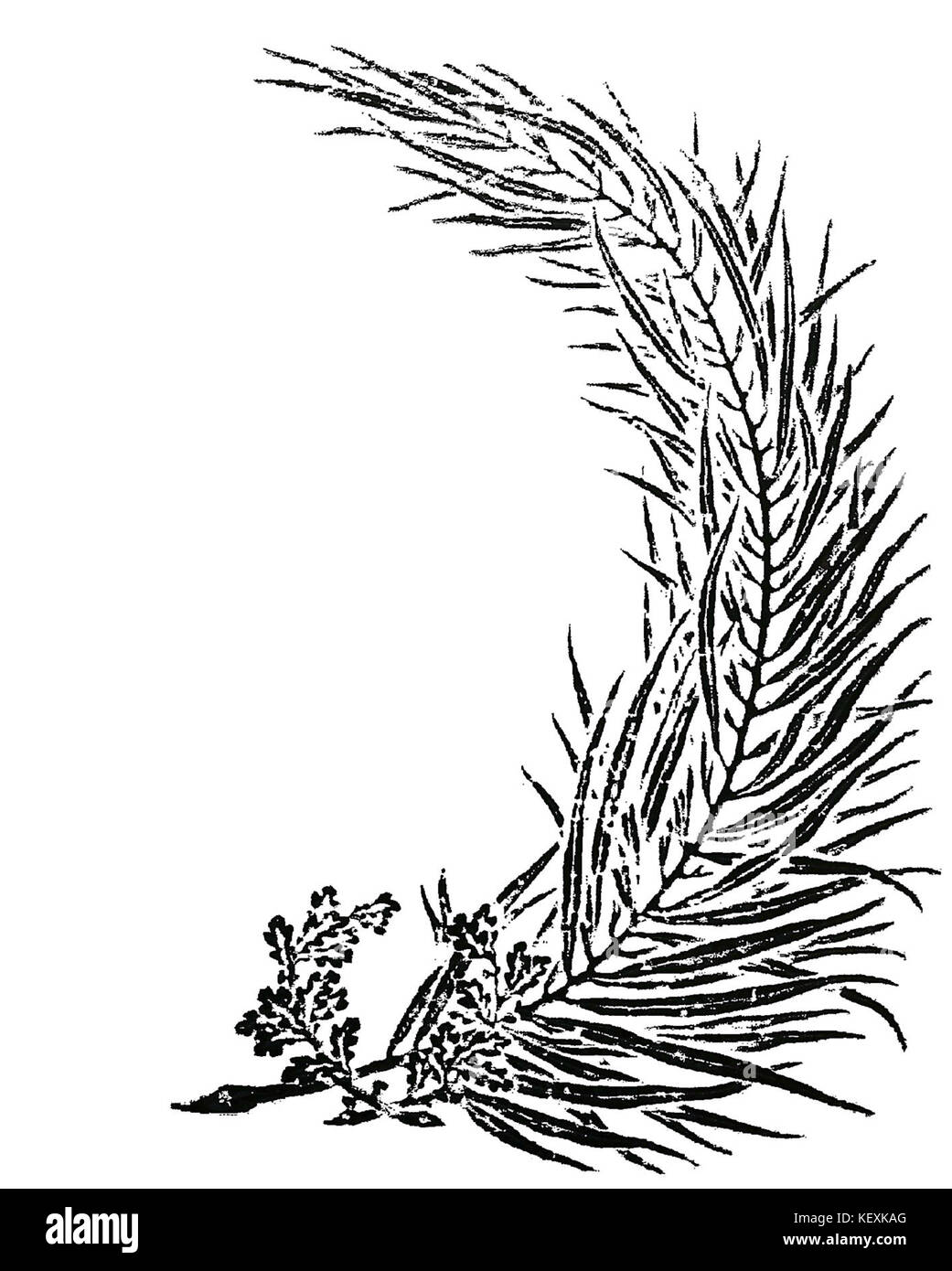 Photo photograph album Black and White Stock Photos & Images - Alamy