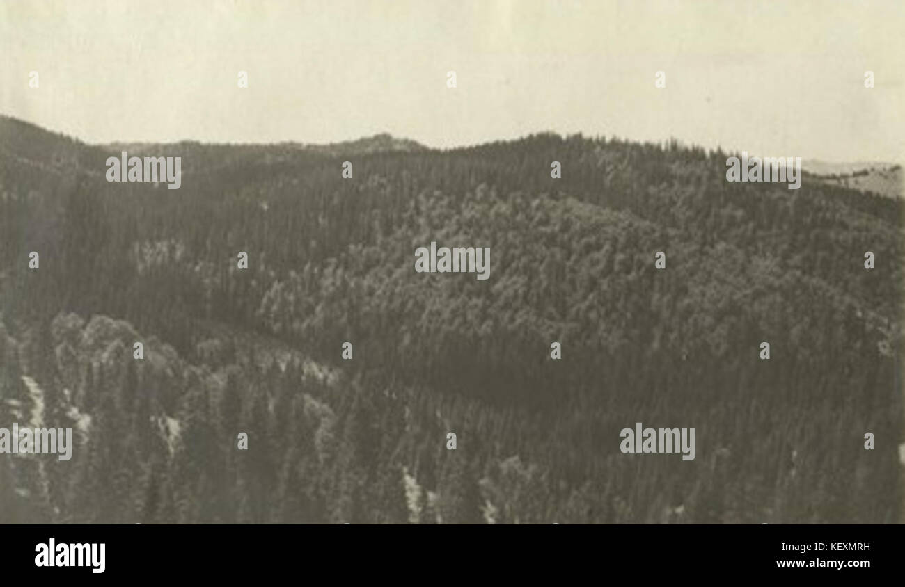 An image of an unspecified historical document or photograph labeled ...