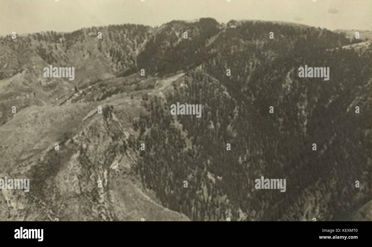 This reference code, VD 1217 2 12 207, represents a specific document or item in an archival ...