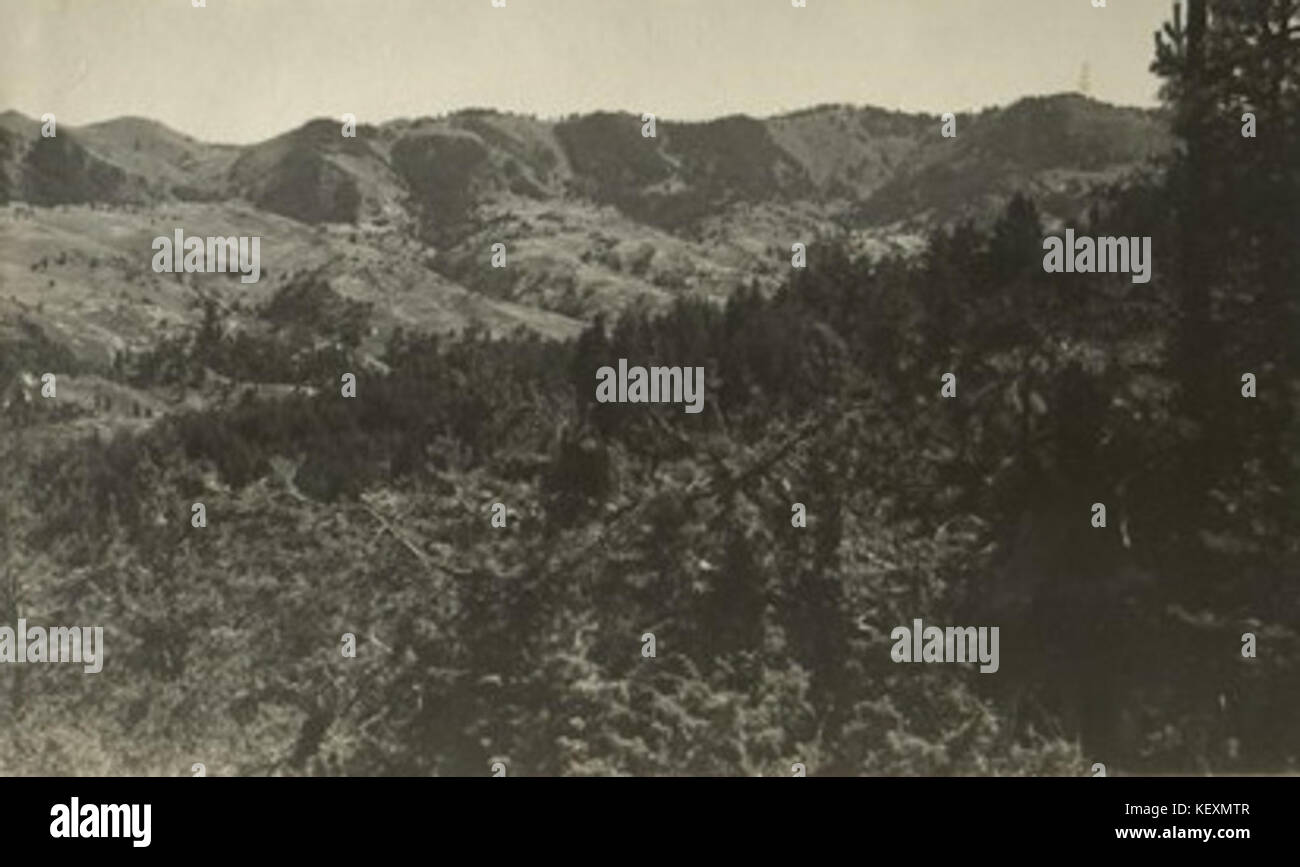 This entry refers to a specific document or historical reference ...