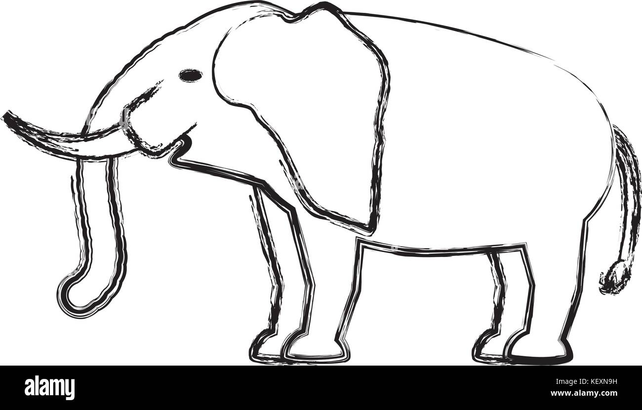 elephant icon over white background vector illutration Stock Vector ...
