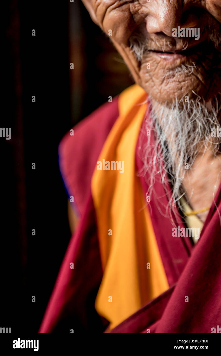 Mid section photograph of smiling senior Buddhist monk with white beard ...