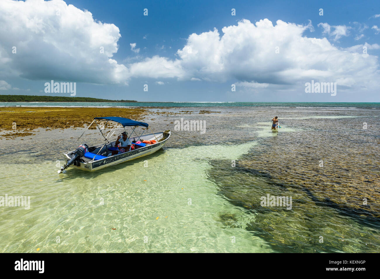 Brazil sea reefs High Resolution Stock Photography and Images - Alamy