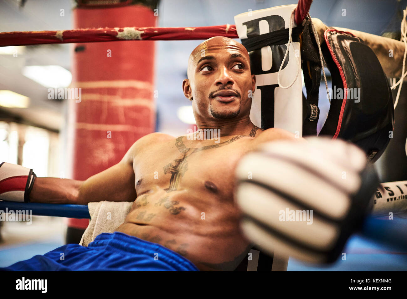 Portrait of male boxer resting in boxing ring corner, Taunton ...
