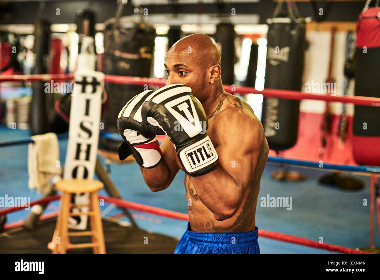 Boxing Ring View Stock Photos & Boxing Ring View Stock Images - Alamy