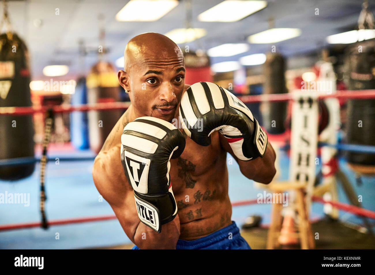 Front view of male boxer training inside boxing ring, Taunton ...