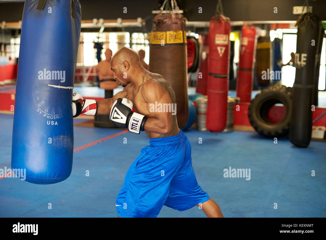 Male boxer training in gym with punching bag, Taunton, Massachusetts ...