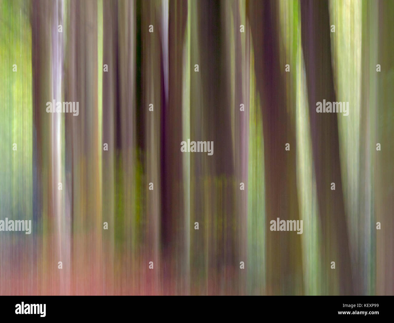 Abstract landscape trees hi-res stock photography and images - Alamy
