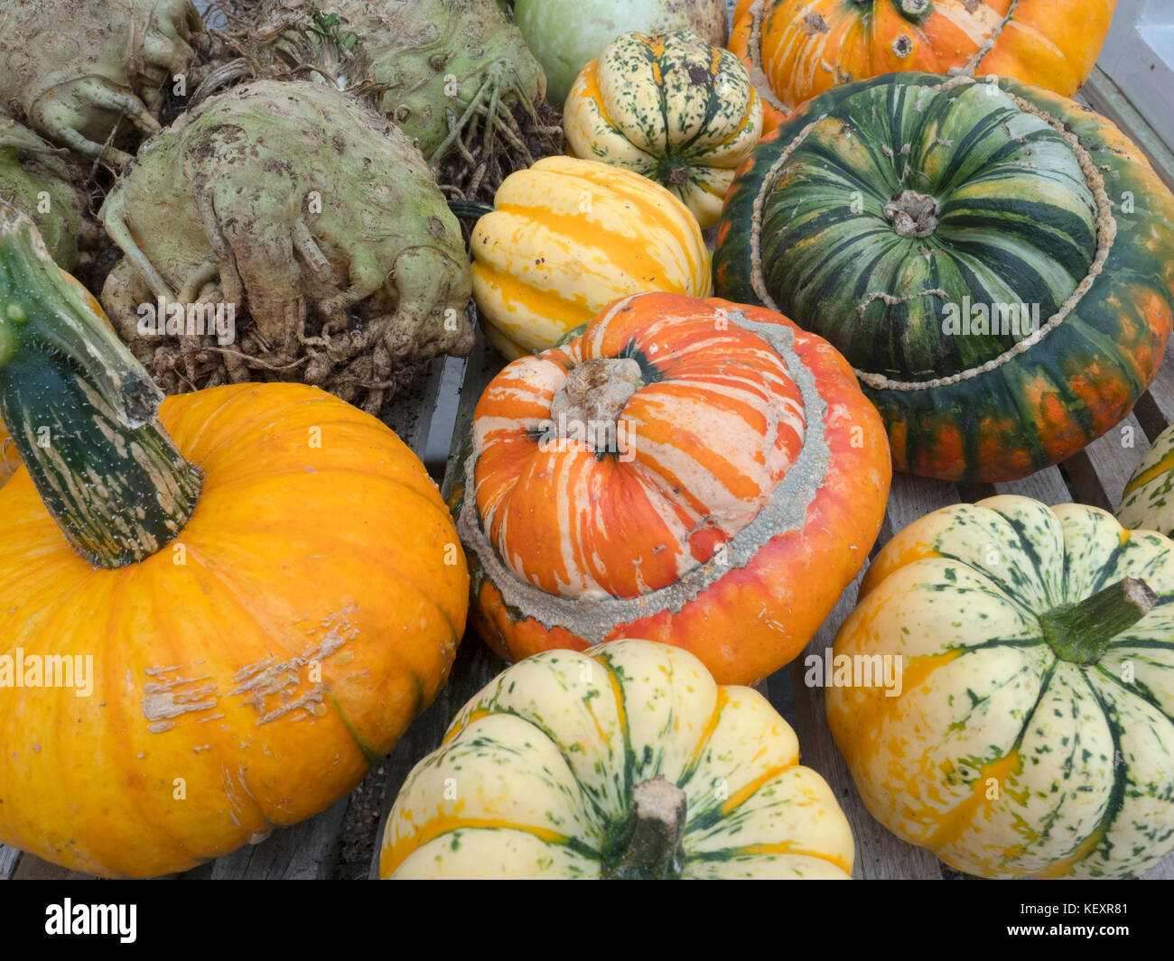 Turban squash hi-res stock photography and images - Alamy