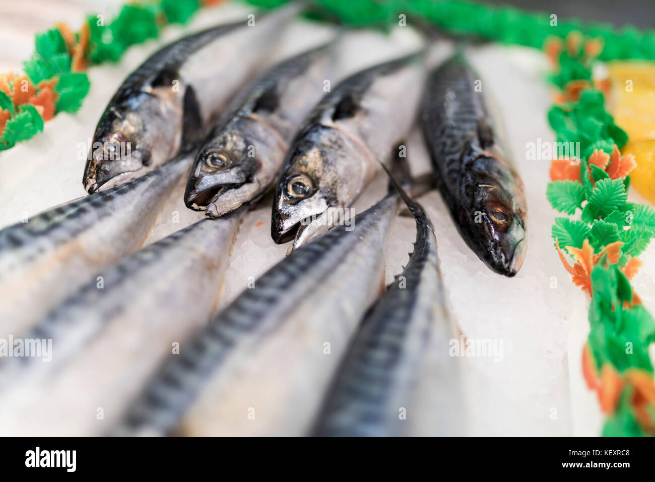 A close-up of freshly caught mackerel on ice on a market stall in ...