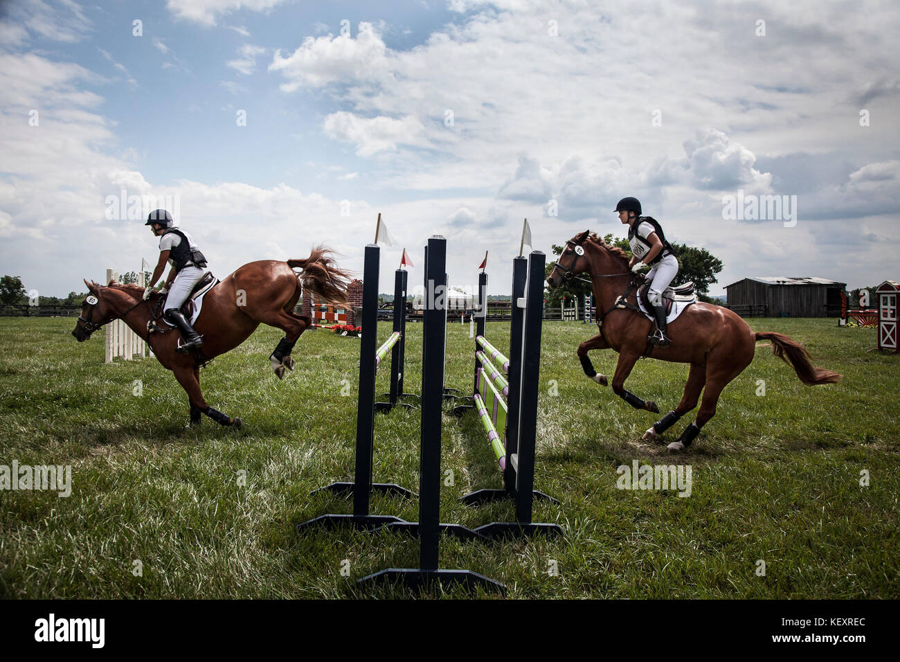 Photograph of equestrians on horses during show jumping competition ...