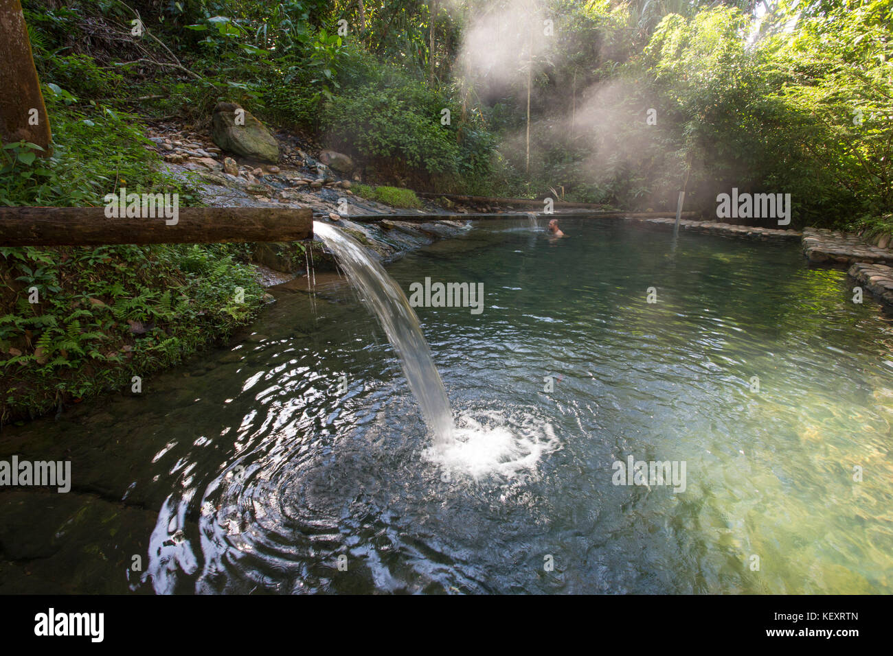 Natural hot springs pool in the jungle of Manu National Park, Peru ...