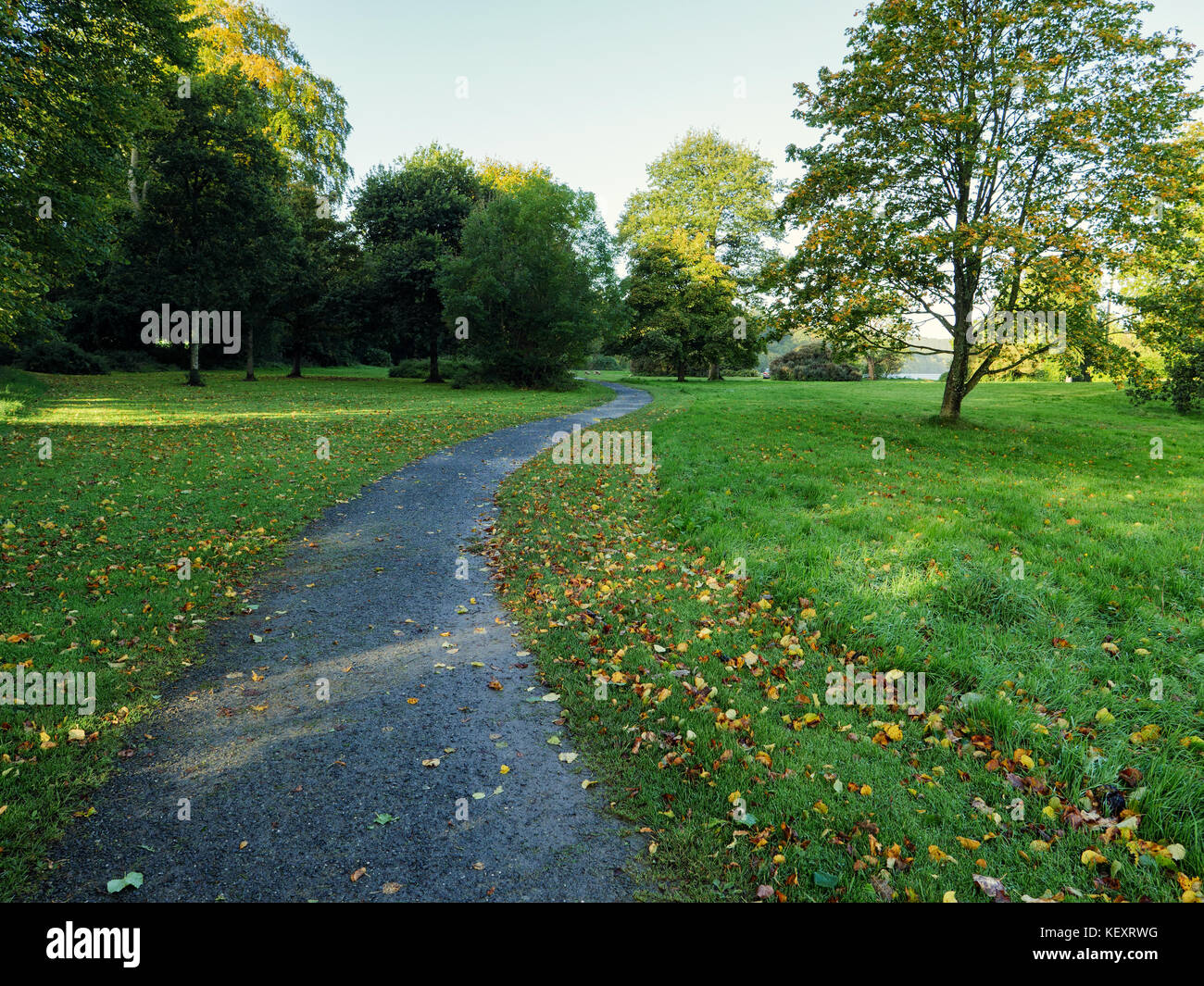 Early Autumn countryside morning,Northern Ireland Stock Photo - Alamy