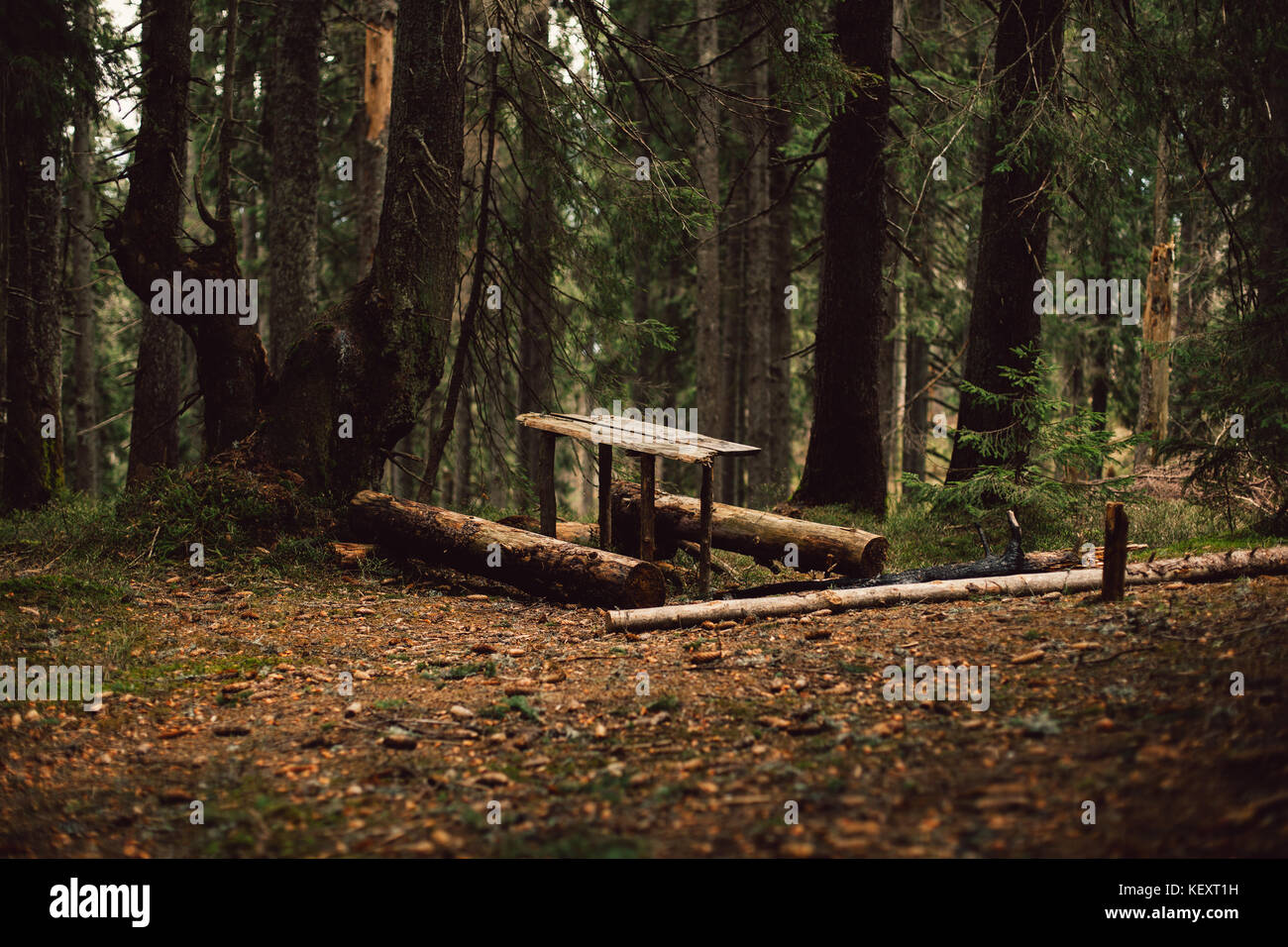 Wooden picnic table and bench in a forest at fall Stock Photo - Alamy
