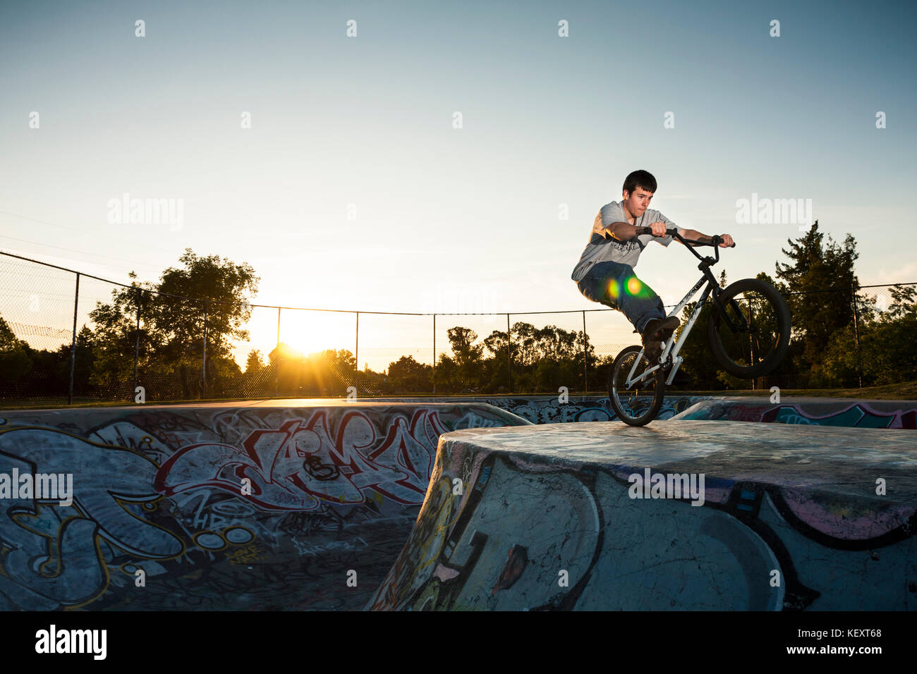 Dan Troyan manuals across the Island at the Greer Park Skate Bowl. Palo ...