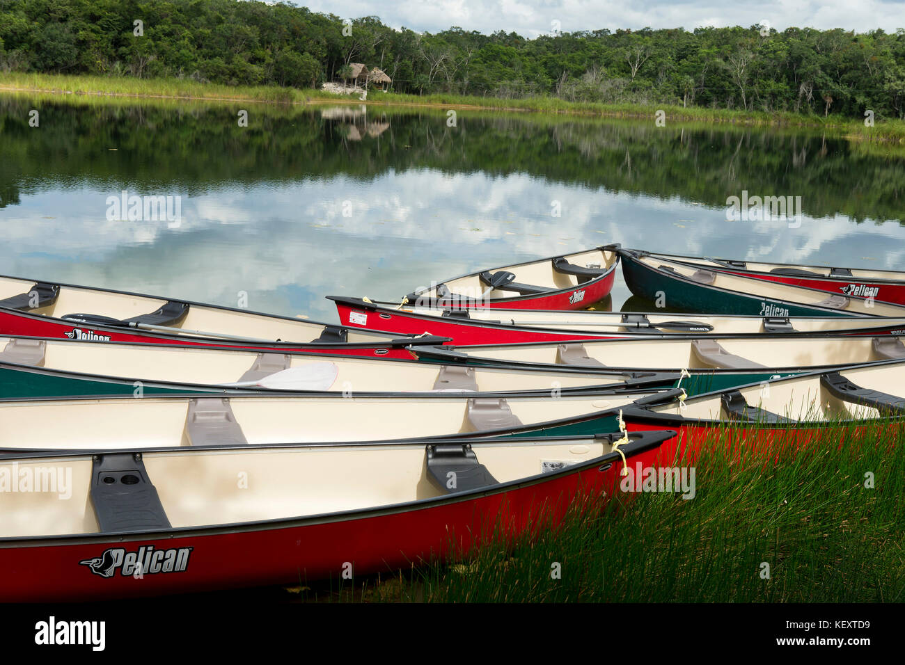 Canoes at pier near Coba, in Quintana Roo, Mexico Stock Photo - Alamy