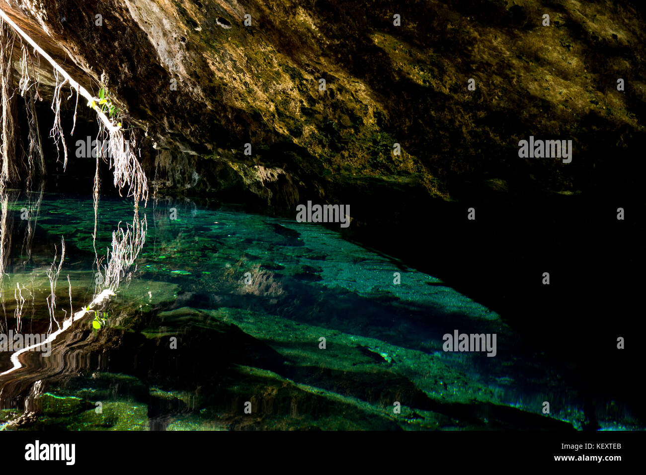 Sunrise light at cave entrance of Nohoch Na Chic cenote, near Tulum ...