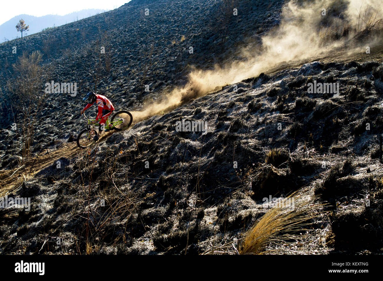 Side view of biker raising dust on downhill track, Tenango, State of ...