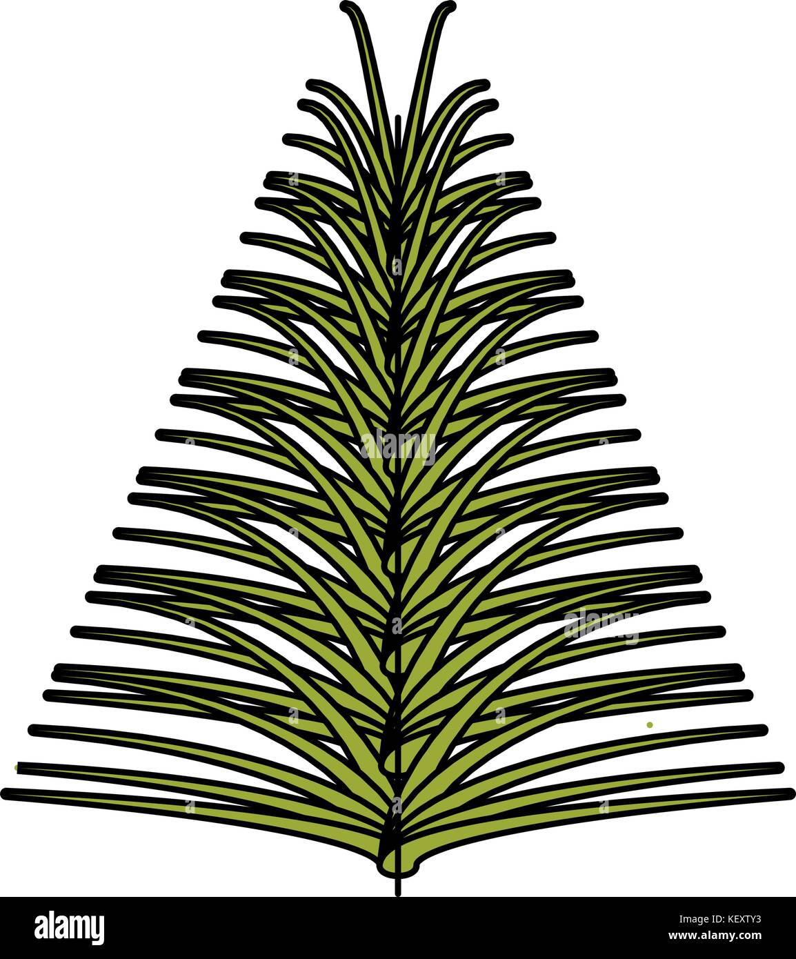 pine tree icon over white background vector illustration Stock Vector ...