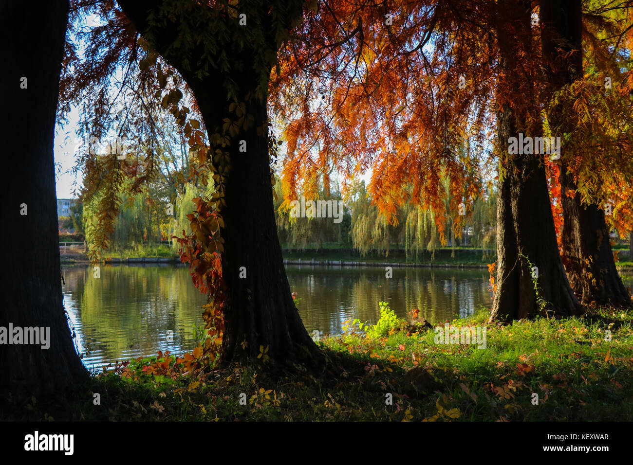 Beautiful autumn view hi-res stock photography and images - Alamy
