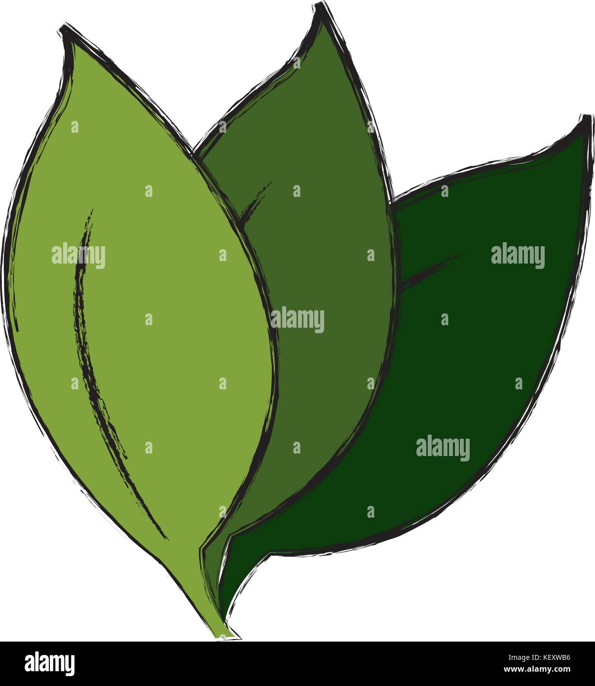 Leaf isolated symbol Stock Vector Image & Art - Alamy