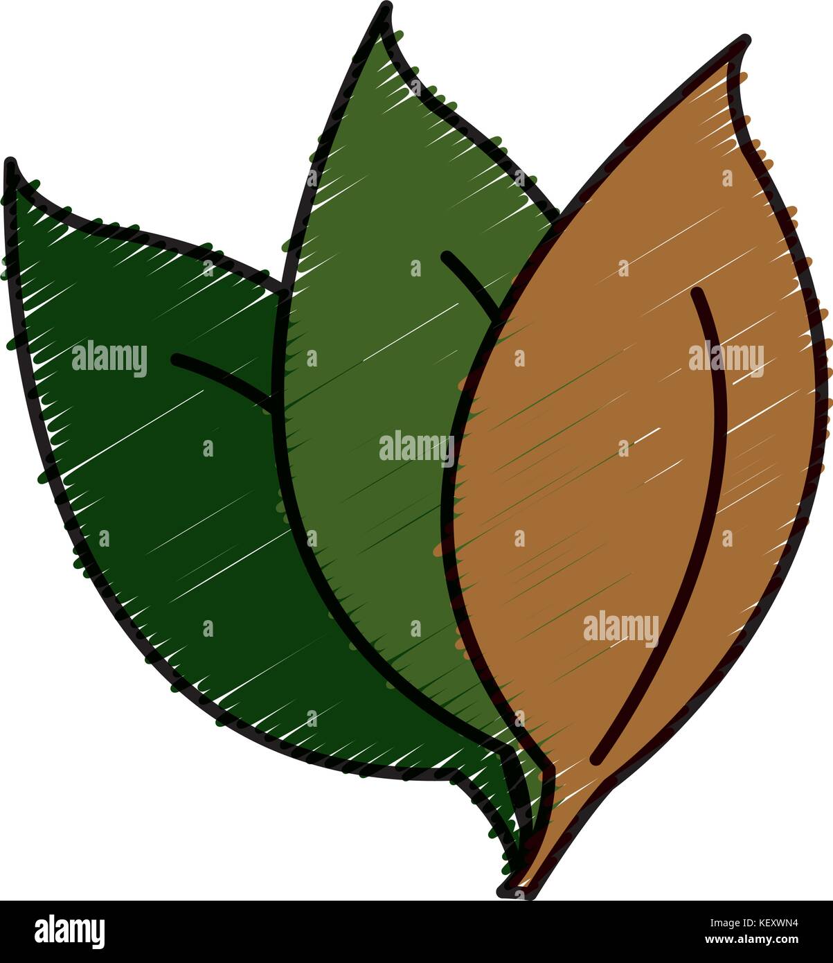 Leaf isolated symbol Stock Vector Image & Art - Alamy