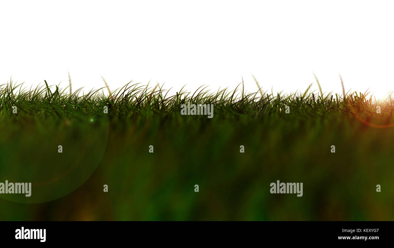 Grass edge isolated hi-res stock photography and images - Alamy