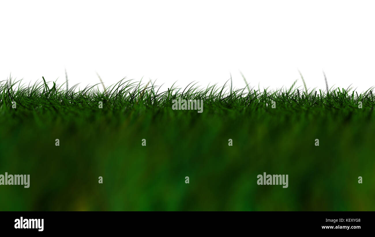 Grass edge isolated hi-res stock photography and images - Alamy