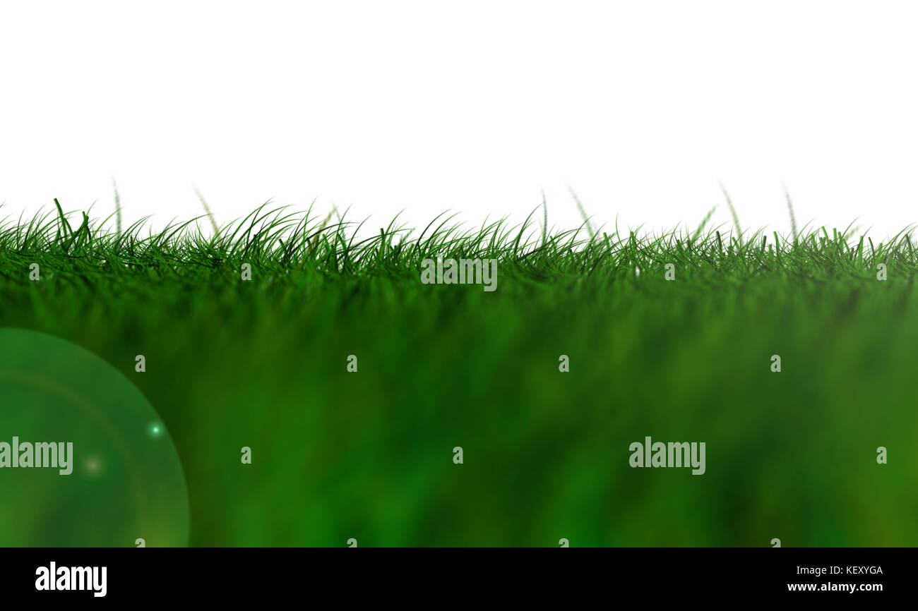 Grass Isolated, light green low Angle Stock Photo - Alamy