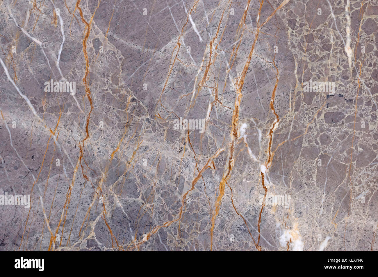 Light gray marble seamless texture hi-res stock photography and images ...