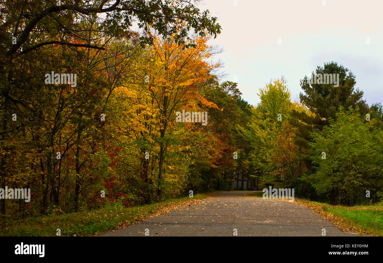 Fall leaves gravel hi-res stock photography and images - Alamy