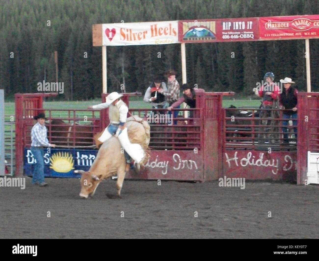 Old rodeo cowboys hi-res stock photography and images - Alamy