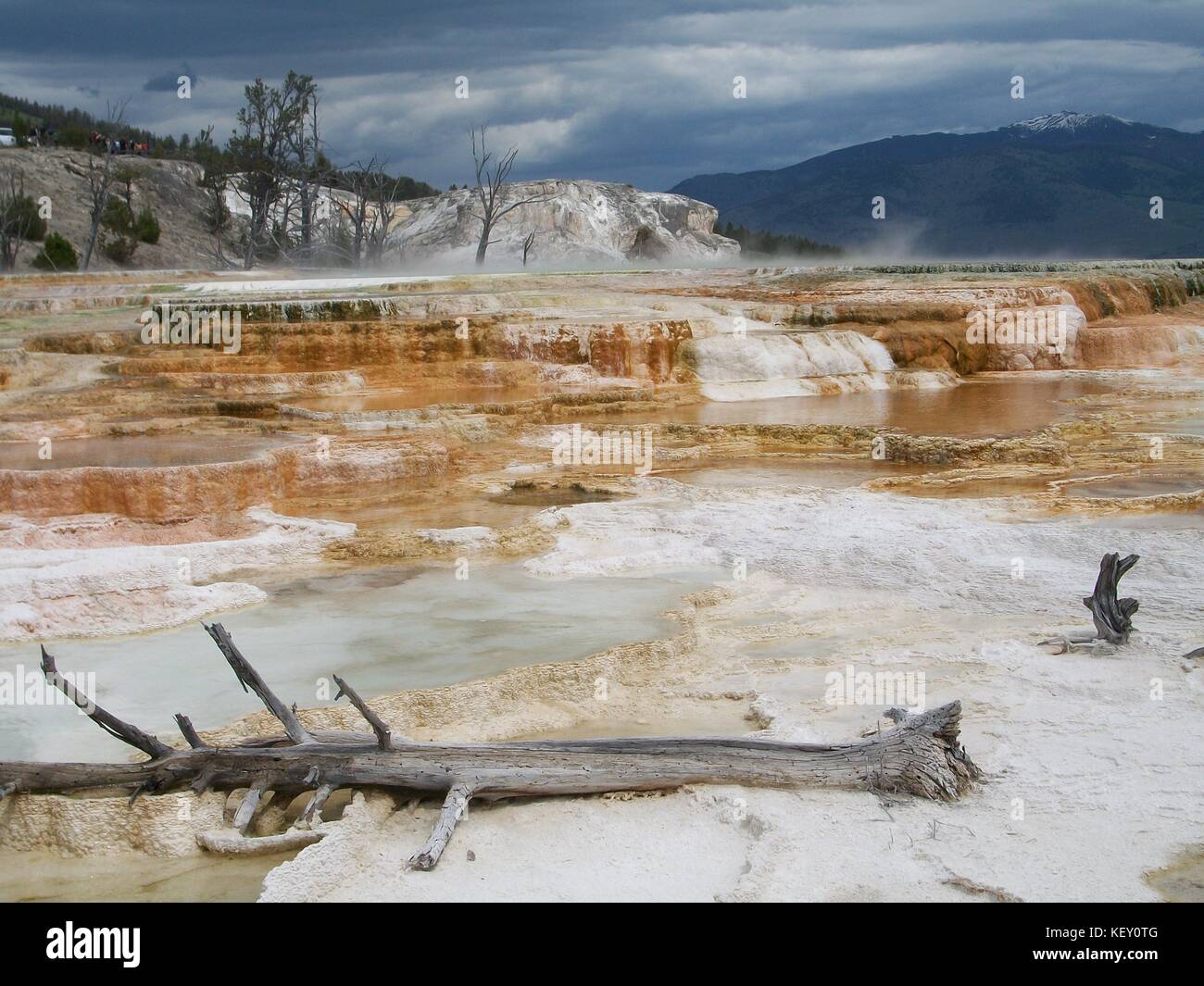 Mammoth Hot Springs, Yellowstone National Park, Wyoming Stock Photo - Alamy