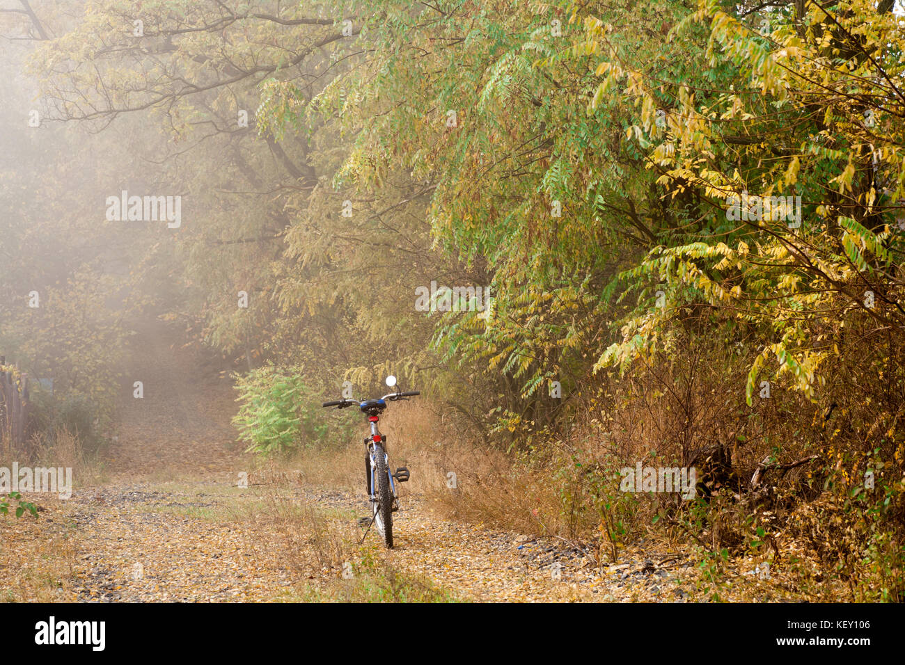 Bike laying on the ground hi-res stock photography and images - Alamy
