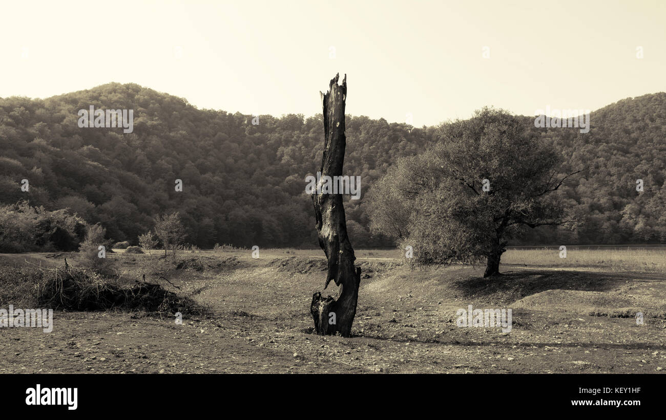 Lightning struck wood hi-res stock photography and images - Alamy