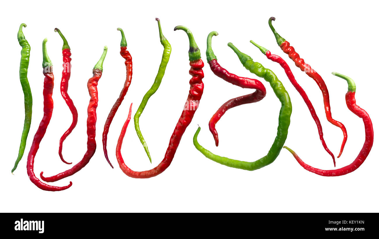 Bangalore Whippet's Tail chile peppers (C. annuum x C. frutescens cross ...