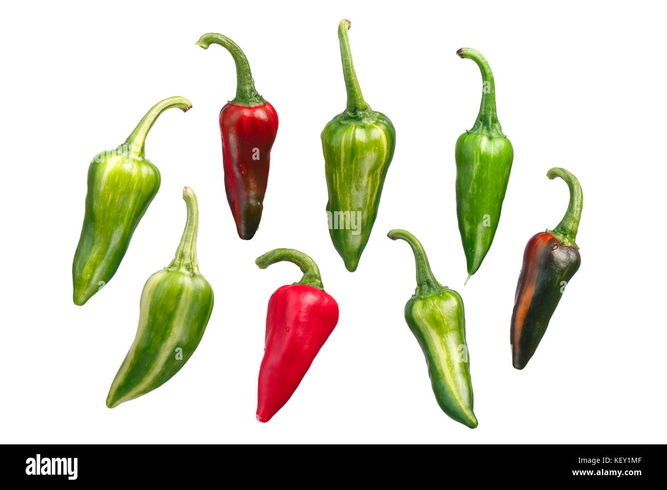 Fish chile peppers (Capsicum annuum). Clipping path for each pod Stock ...