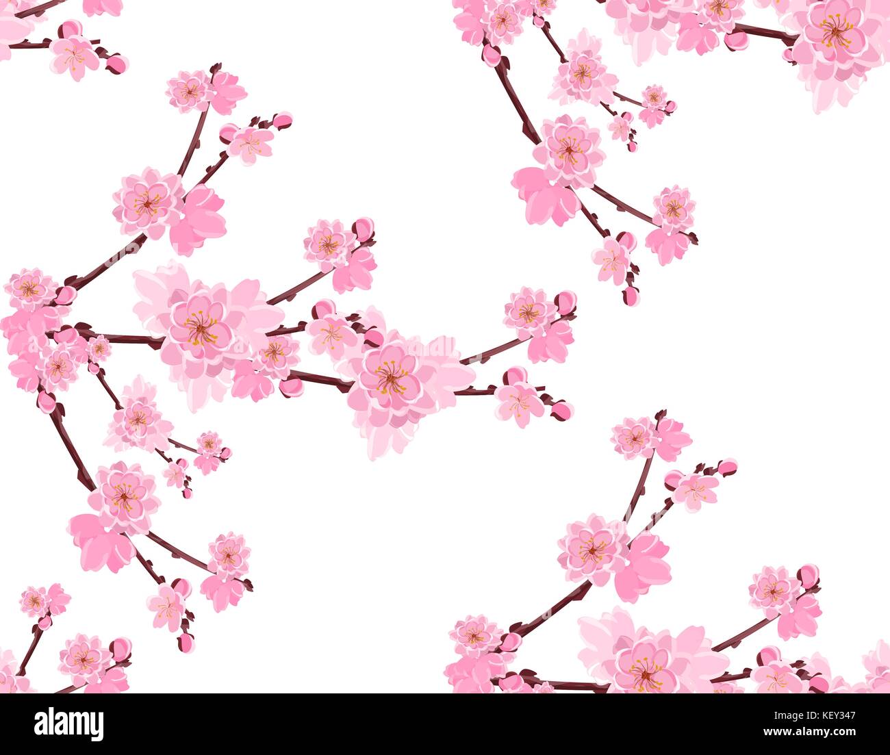 Sakura. Branch with gentle lush flowers and cherry buds. Seamless ...