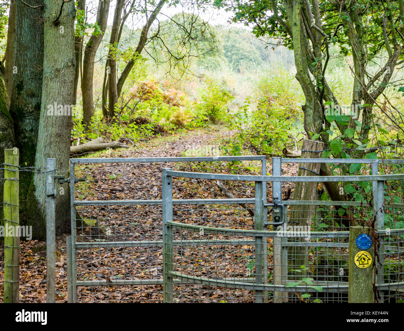 Hothfield nature reserve hi-res stock photography and images - Alamy