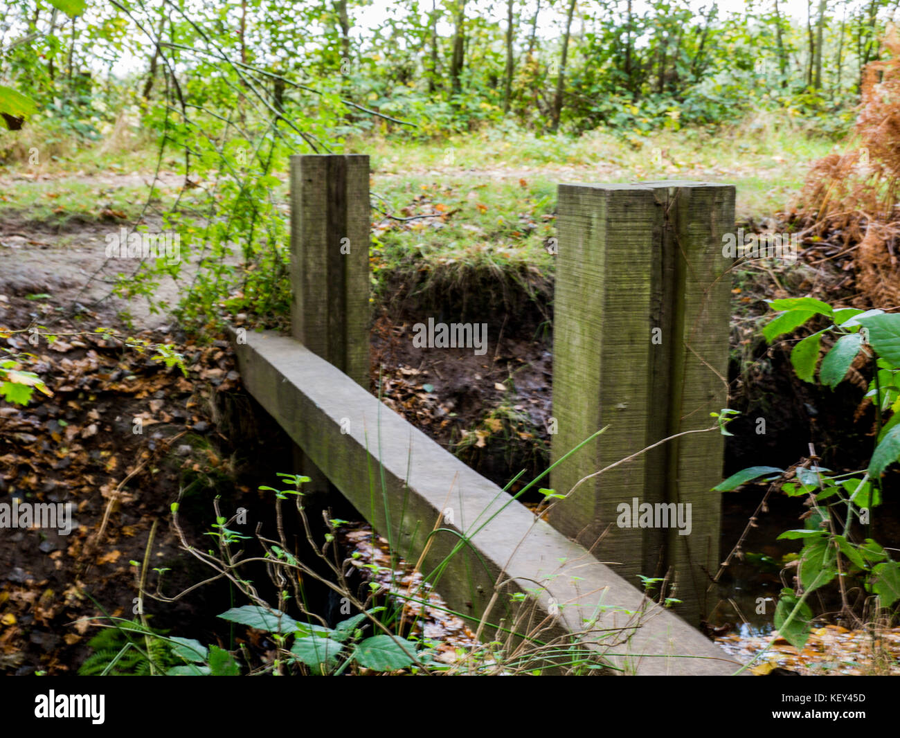 Footbridge, Hothfield Common nature reserve, Ashford, Kent Stock Photo ...