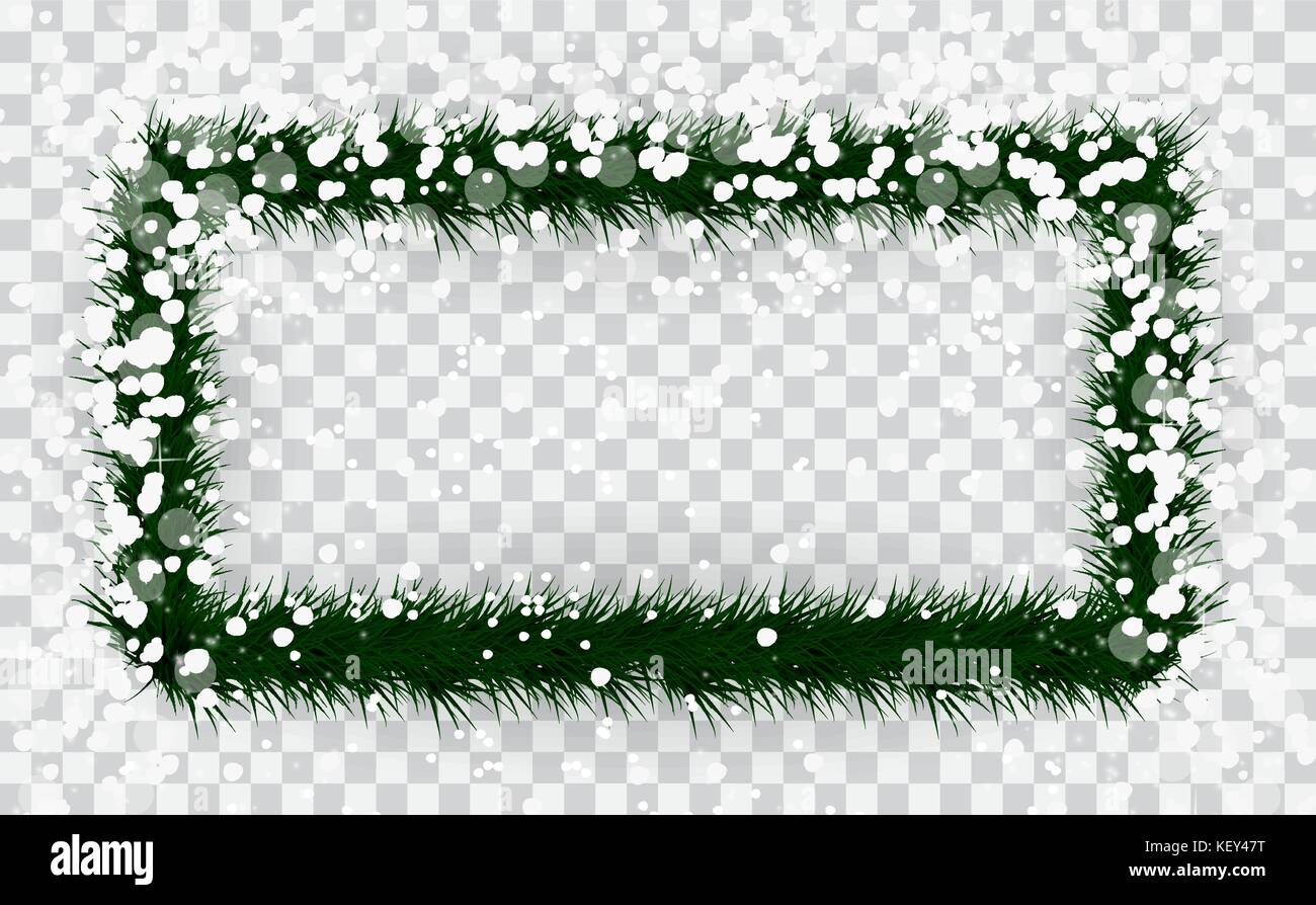 Vector illustration fir branches Stock Vector Images - Alamy