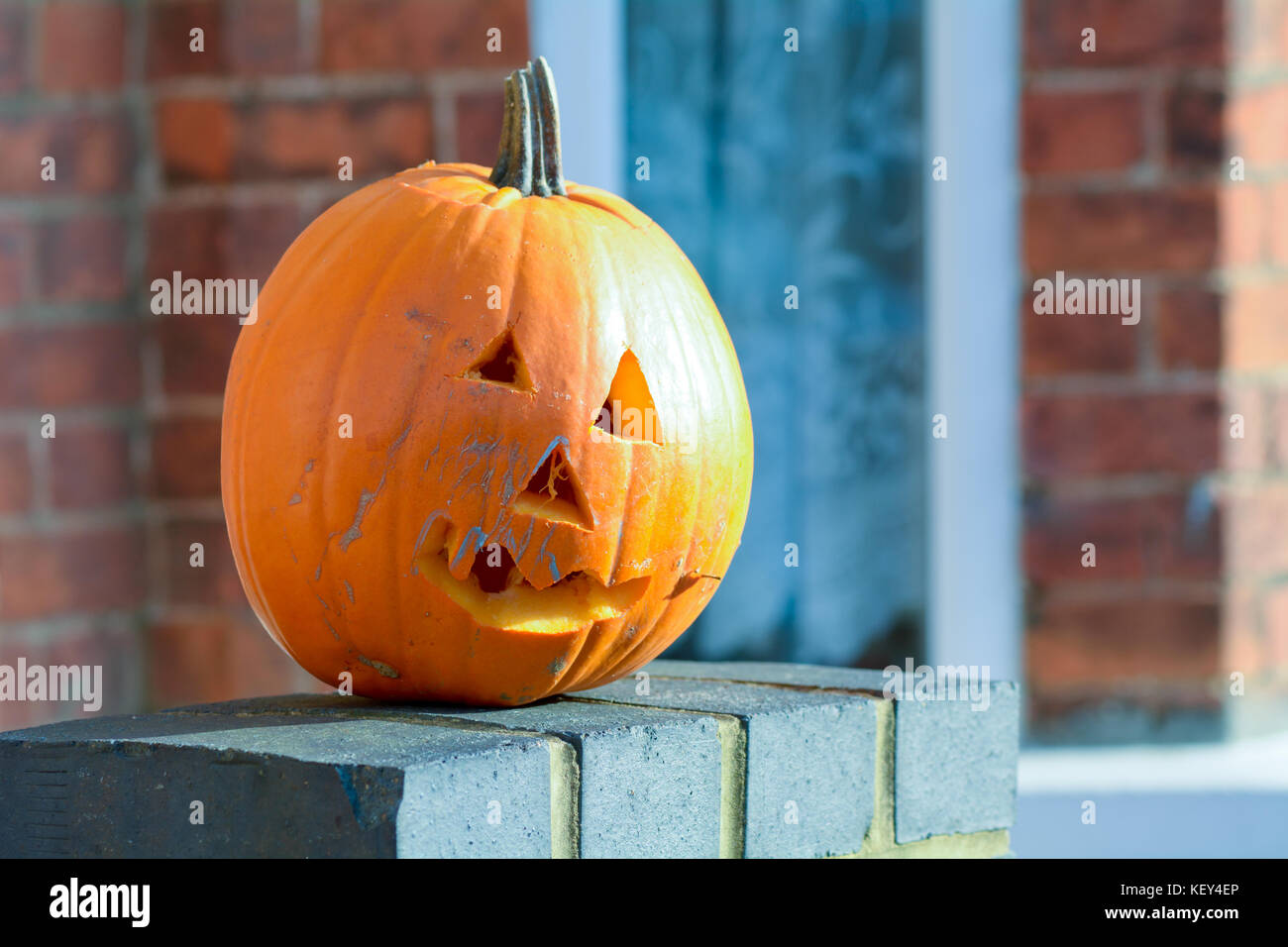 Pumpkins with faces carved to look scary for Halloween Stock Photo - Alamy