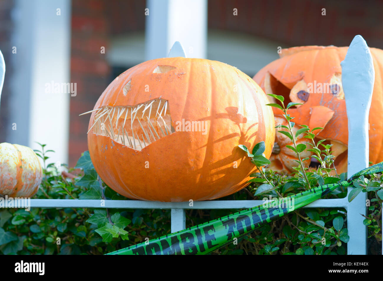 Pumpkins decorated for Halloween and impaled on metal fence posts Stock ...