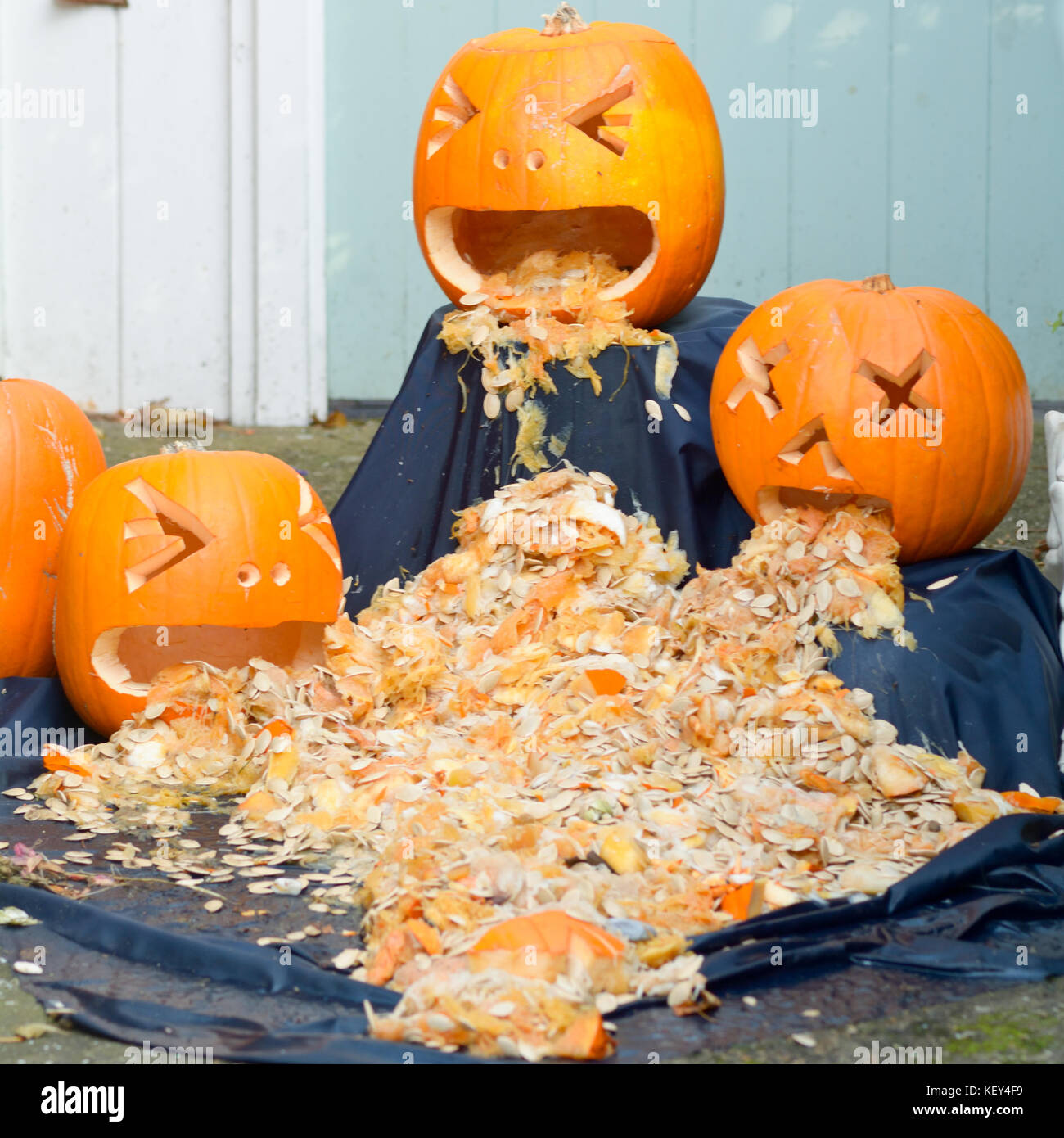 Throwing Up High Resolution Stock Photography and Images - Alamy